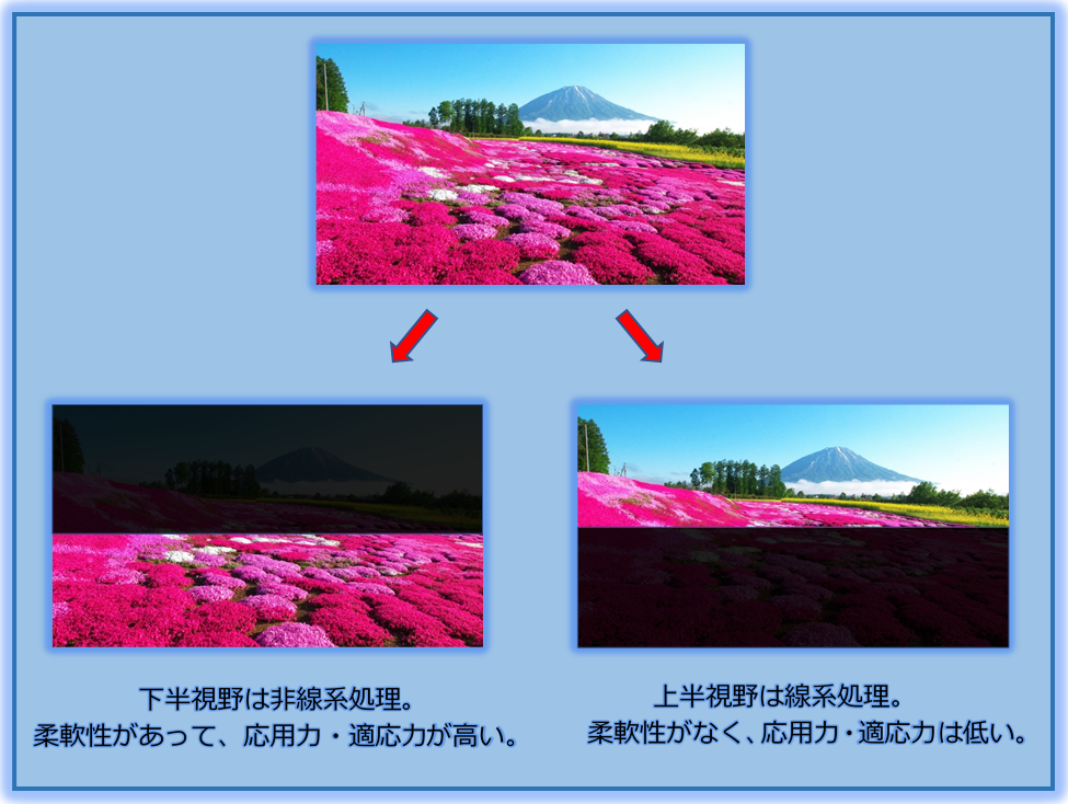 ⑤周辺視 ～Peripheral Vision～ | Soccer Vision Coaching（サッカービジョンコーチング）